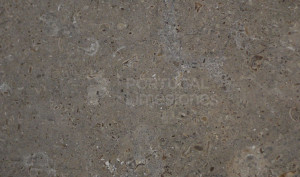 Materials. Limestone catalogue. Portugal Limestones.
