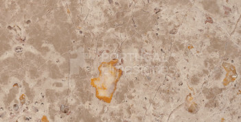 Brecha St Antonio. Portugal Limestones. Brown limestone. Masonry ...