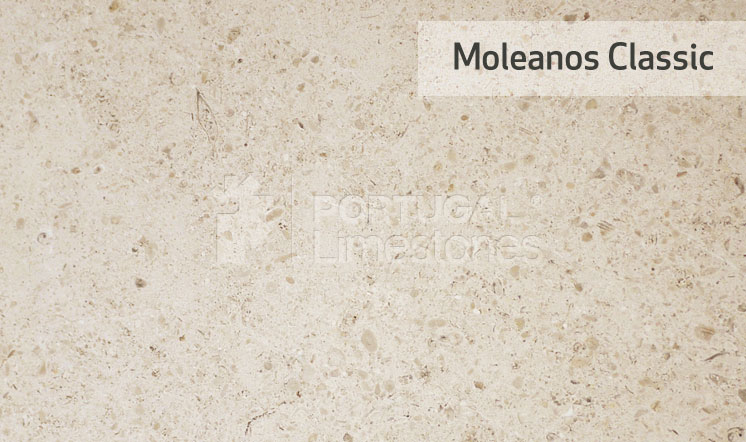 Moca Creme vs Moleanos. Notícias. Análise. Portugalimestones.